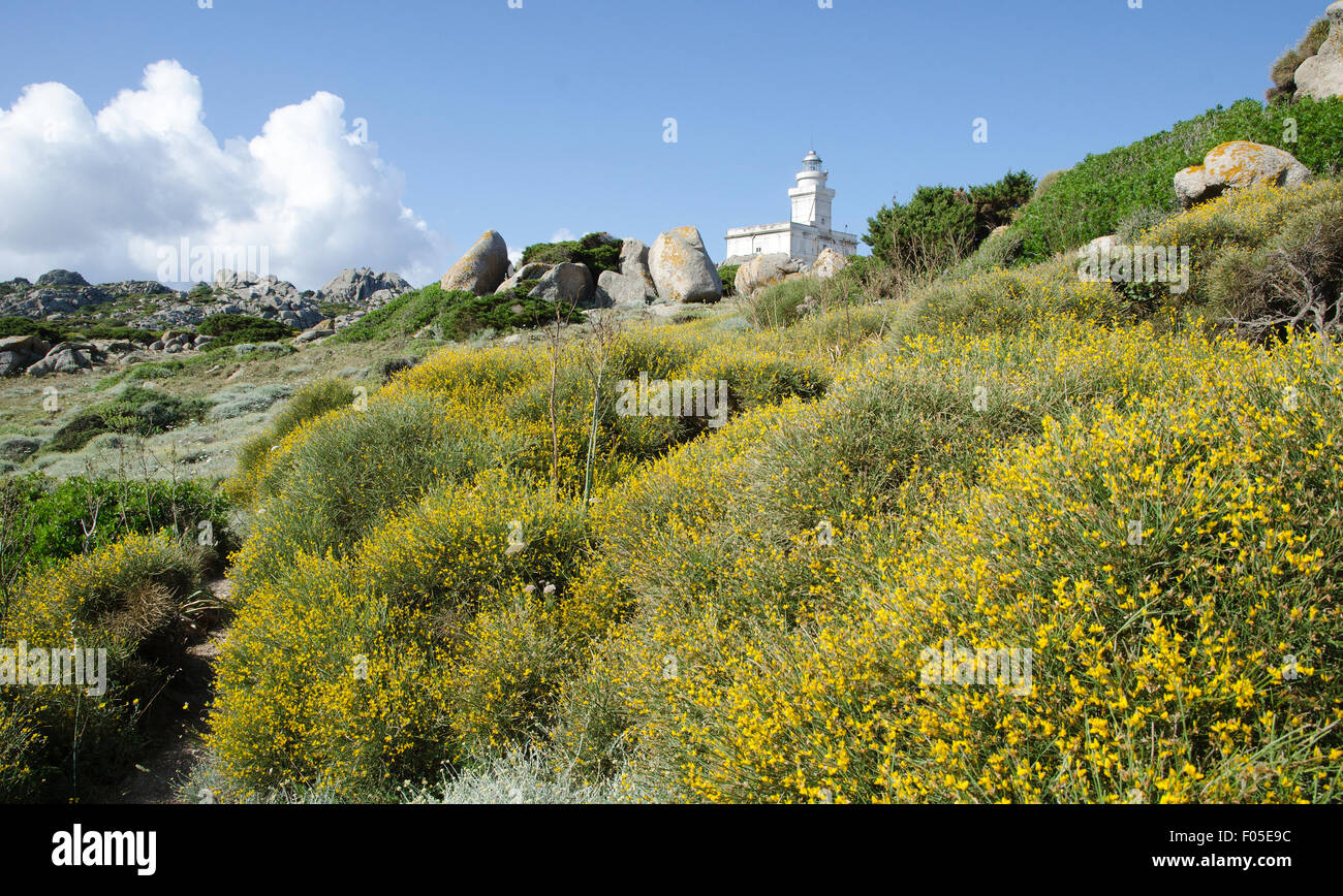 Sardinia,Italy: the lighthouse of Capo Testa Stock Photo - Alamy