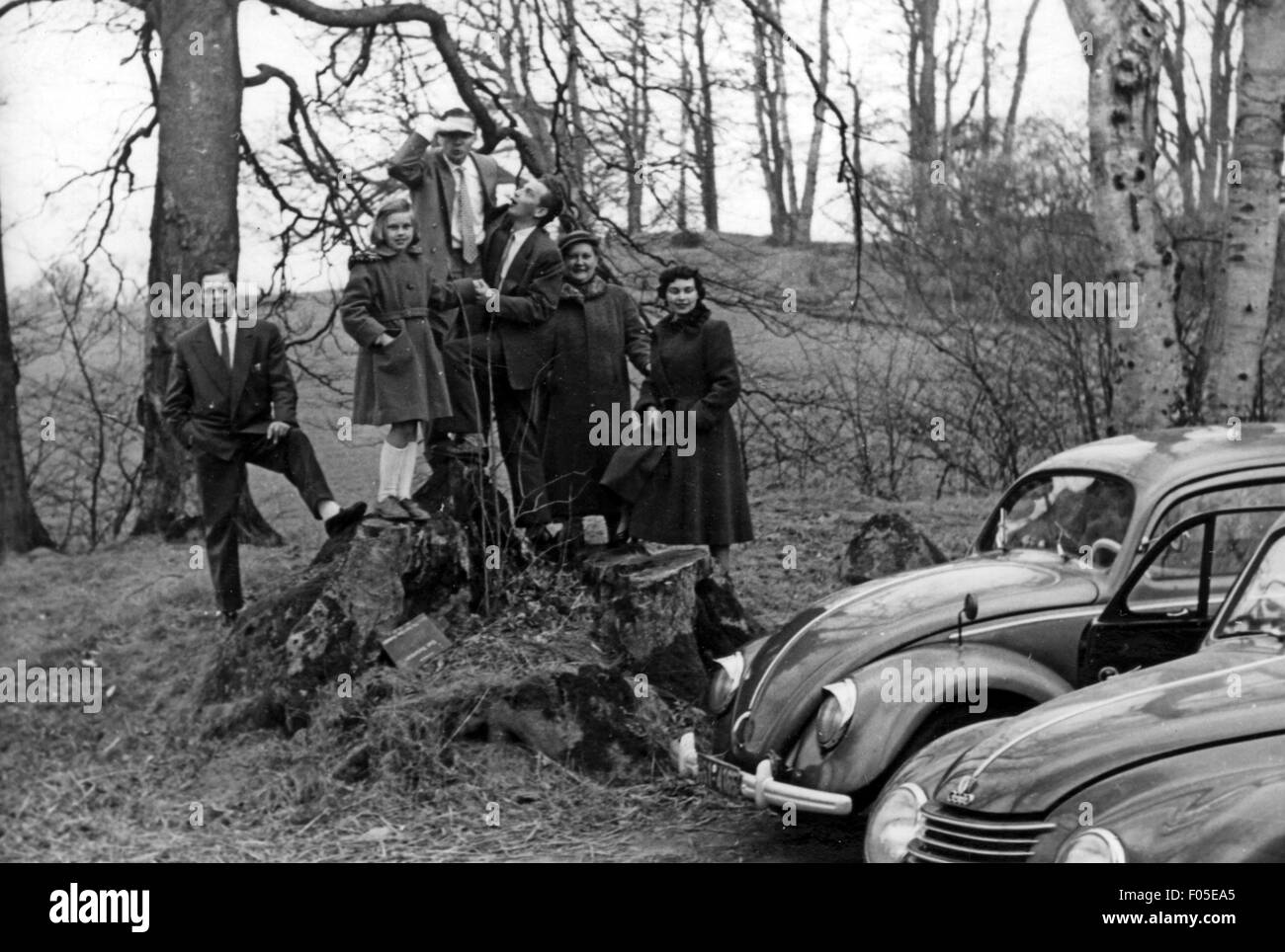 leisure,excursion,family having outing with VW Beetle type 1 and DKW ...