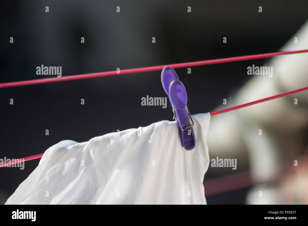 Wet pegs hi-res stock photography and images - Alamy