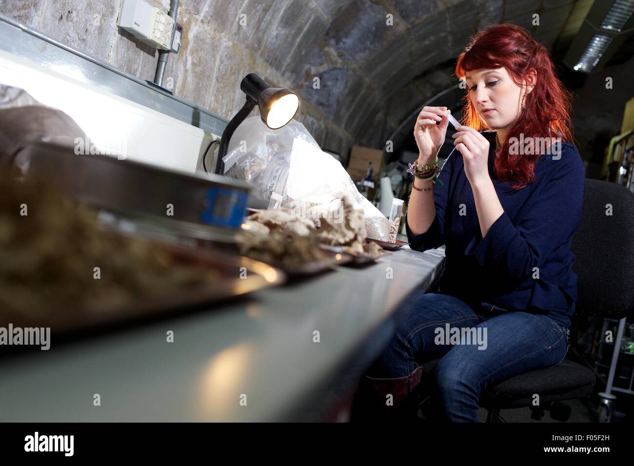 female archaeology student looking at artefacts Stock Photo - Alamy