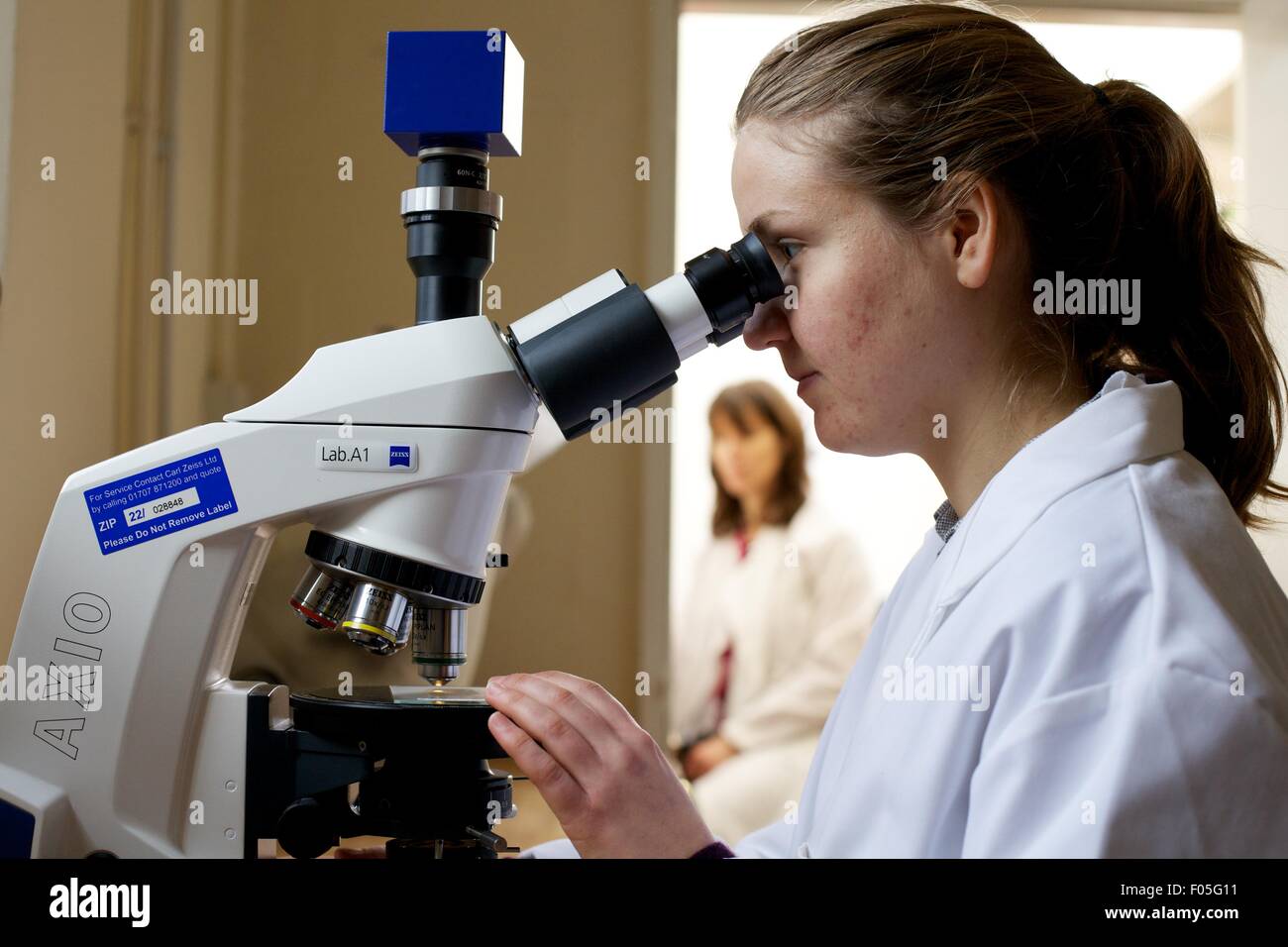 Using a microscope hi-res stock photography and images - Alamy