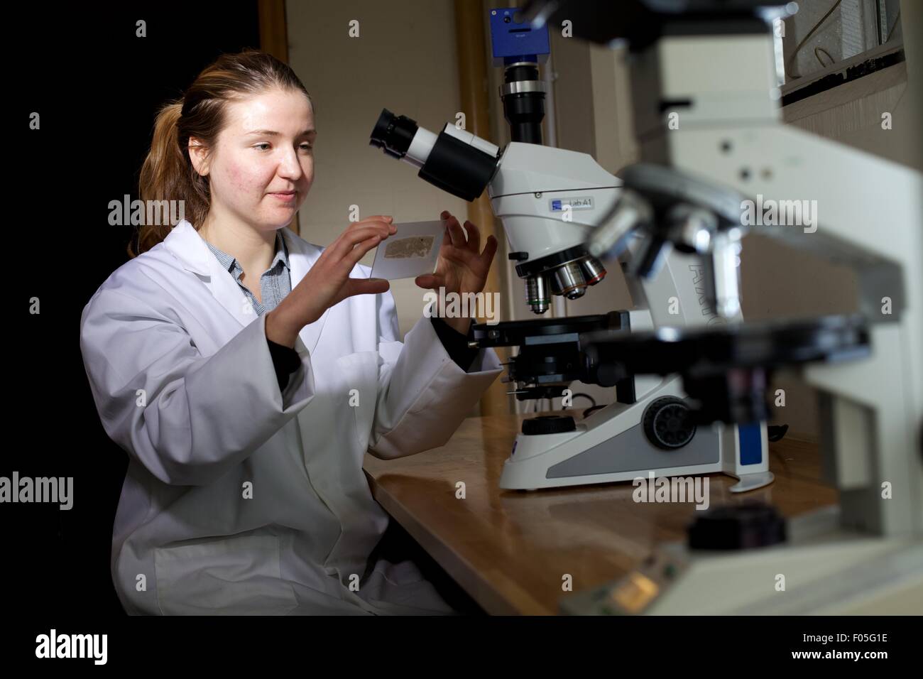 female student using a microscope Stock Photo - Alamy