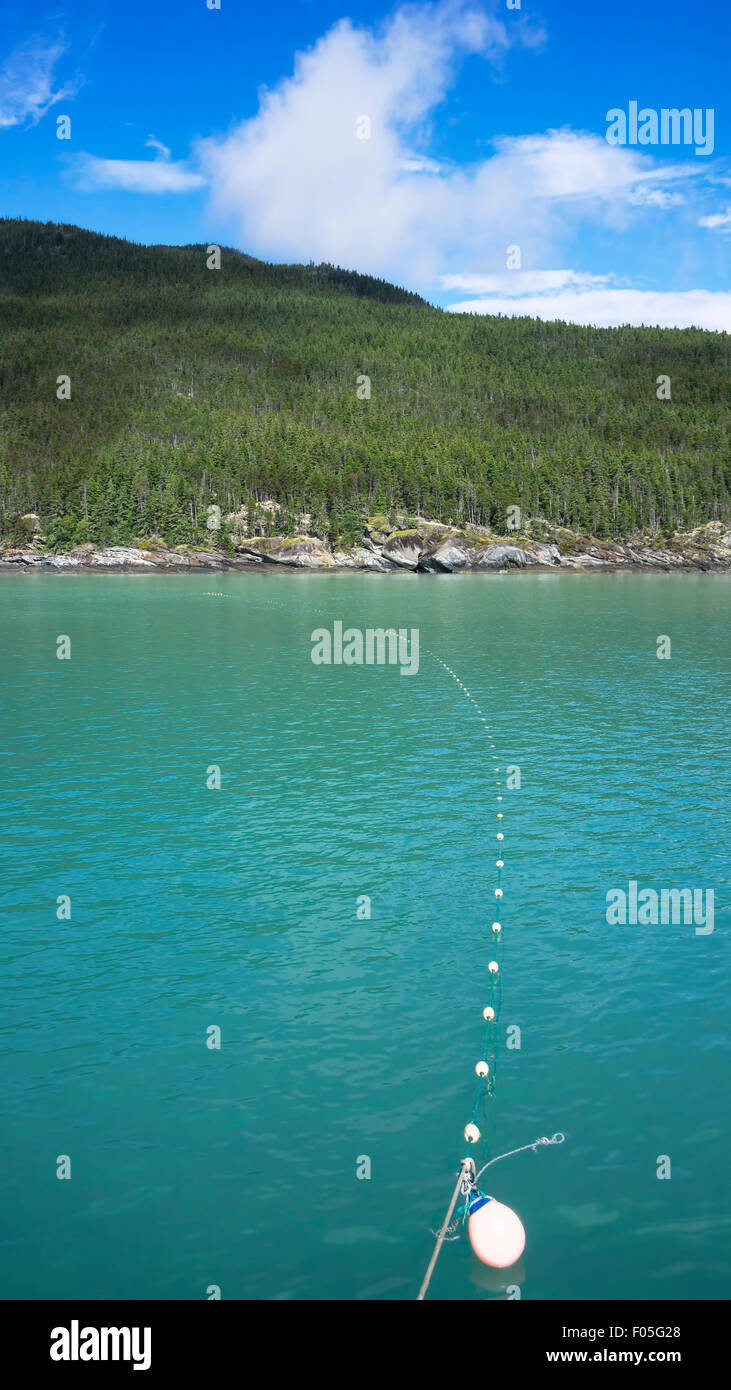 Subsistence gill net set for catching salmon in the Lynn Canal in ...