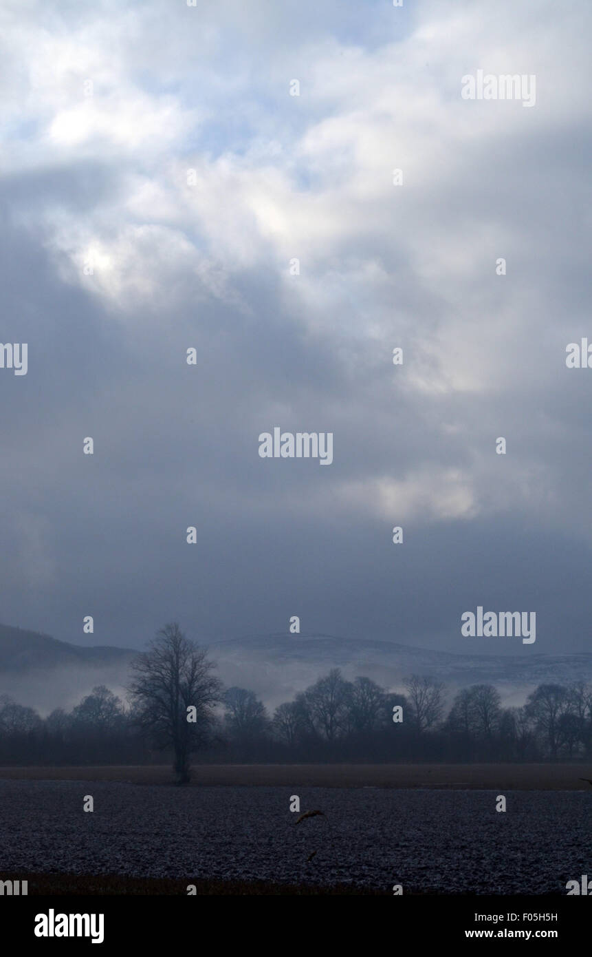 Heather scotland mist hi-res stock photography and images - Alamy