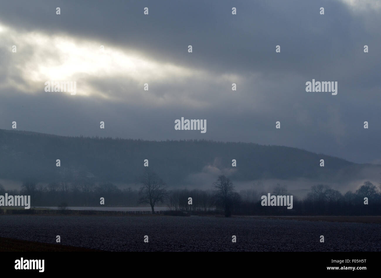 Heather scotland mist hi-res stock photography and images - Alamy