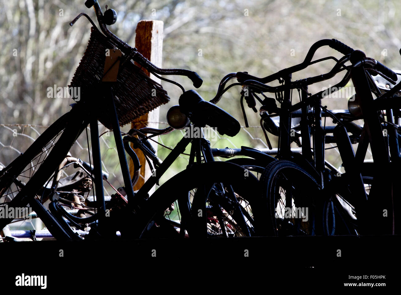 Traditional handlebars hi-res stock photography and images - Alamy