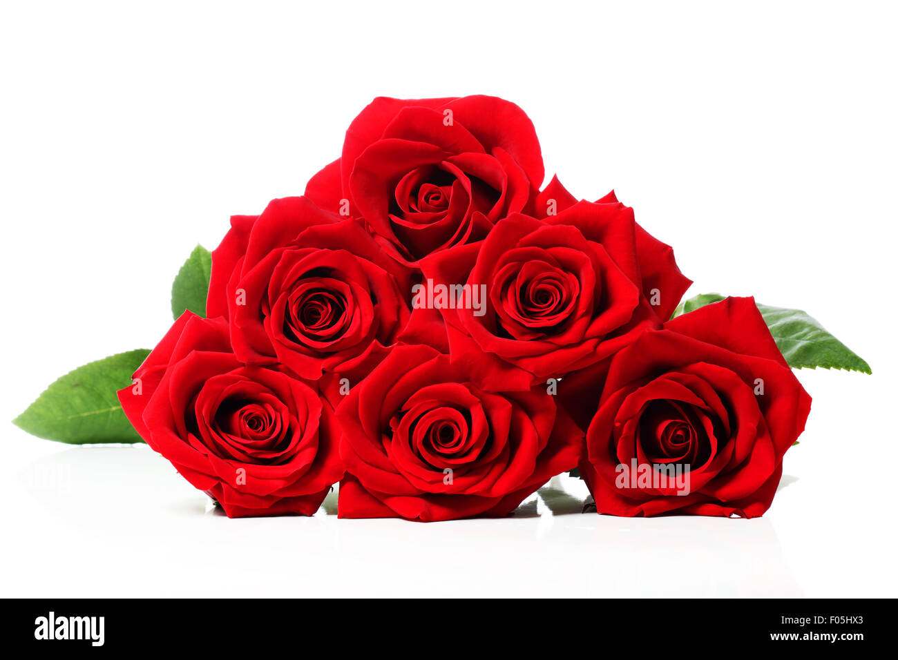 Beautiful red roses isolated on white background Stock Photo - Alamy