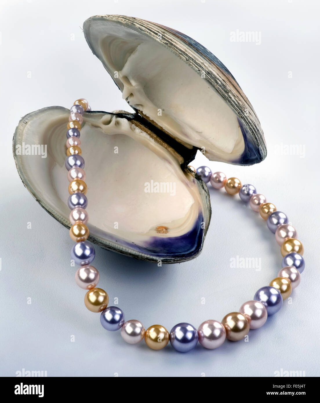 Large multi colored chocolate and black Tahitian pearls Stock Photo - Alamy
