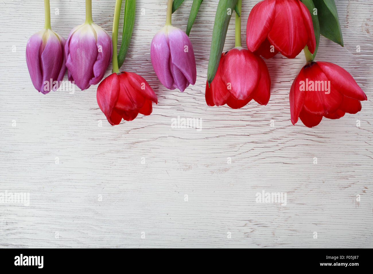 Beautiful tulips hearts on hi-res stock photography and images - Alamy