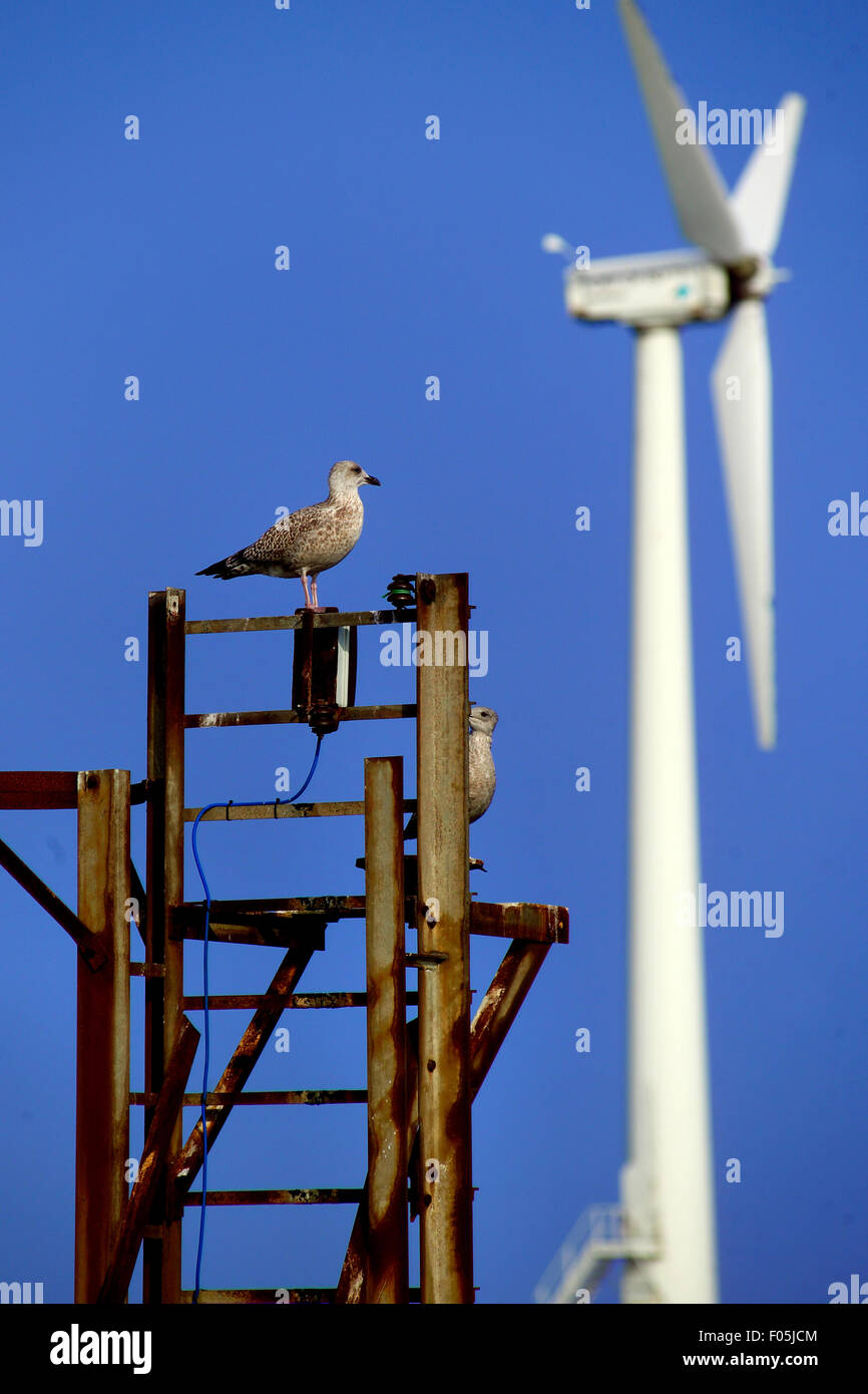 Wind turbines blyth offshore wind farm hi-res stock photography and ...