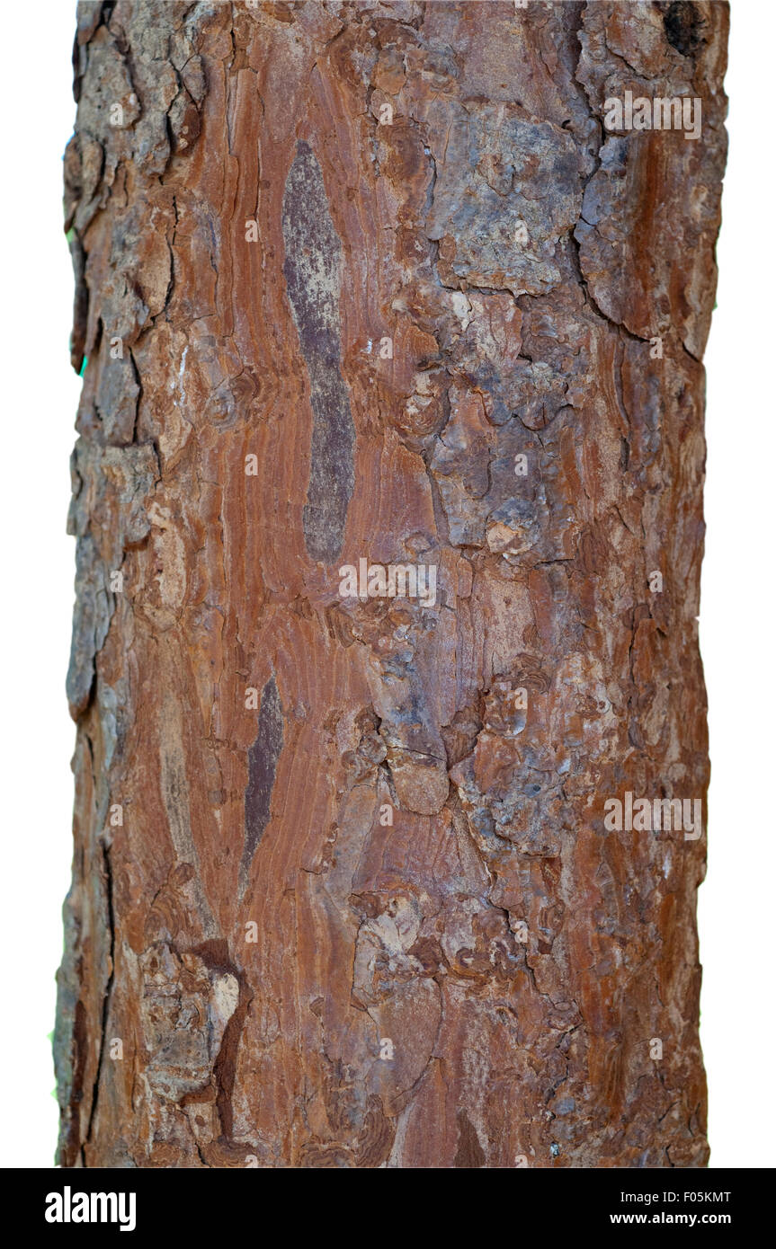 Laerche High Resolution Stock Photography and Images - Alamy