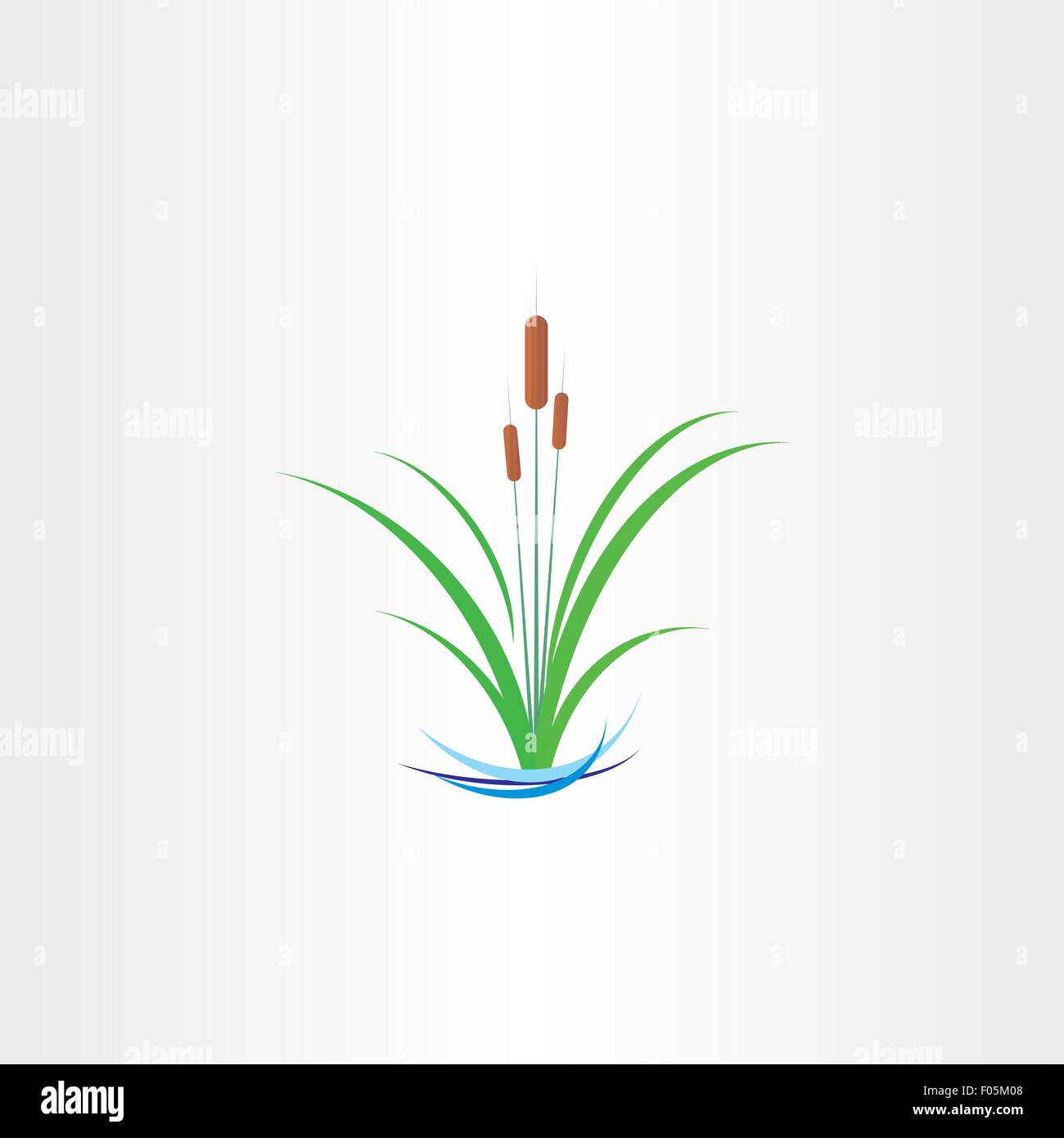 green reed bulrushes vector design symbol Stock Vector Image & Art - Alamy