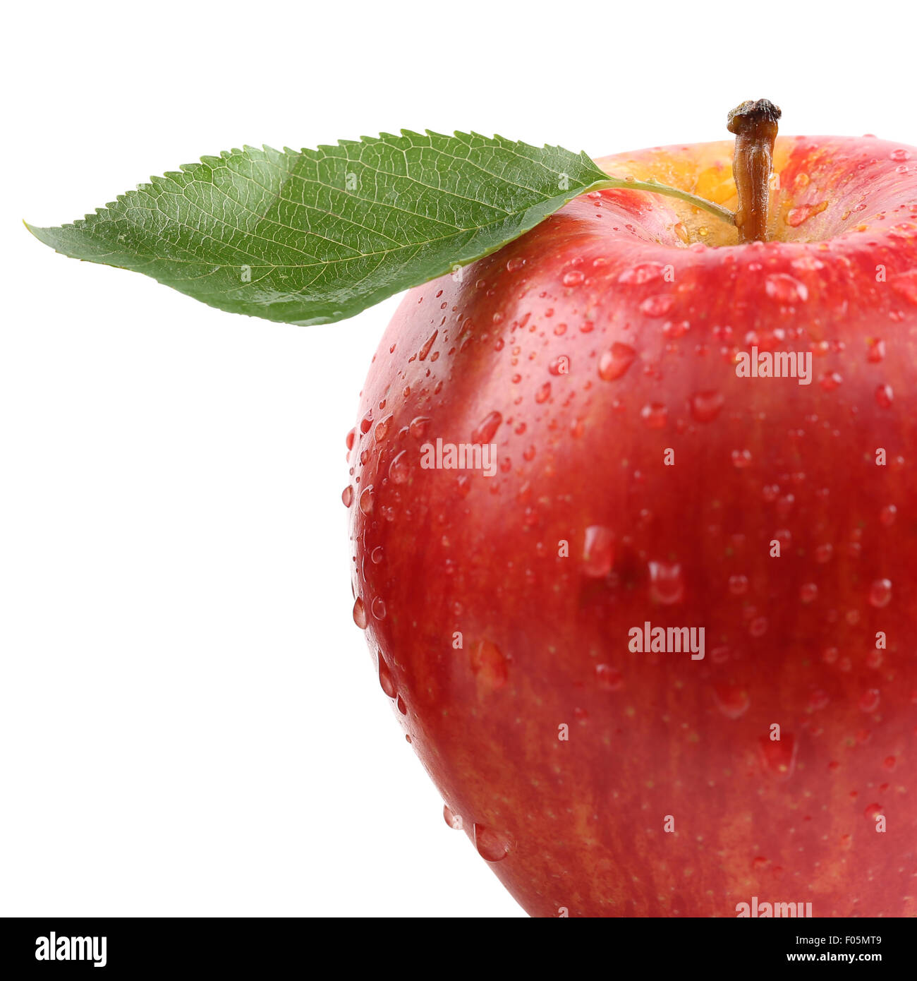 Closeup red apple fruit with leaf isolated on a white background Stock ...