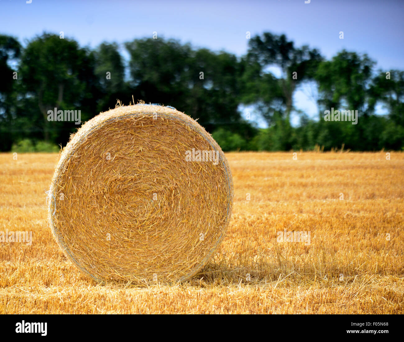 uk weather hay harvest Stock Photo - Alamy