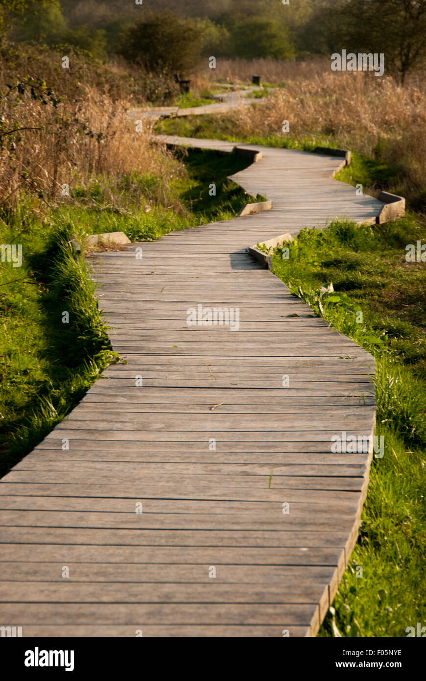 Raised Winding Wooden Path Stock Photo - Alamy