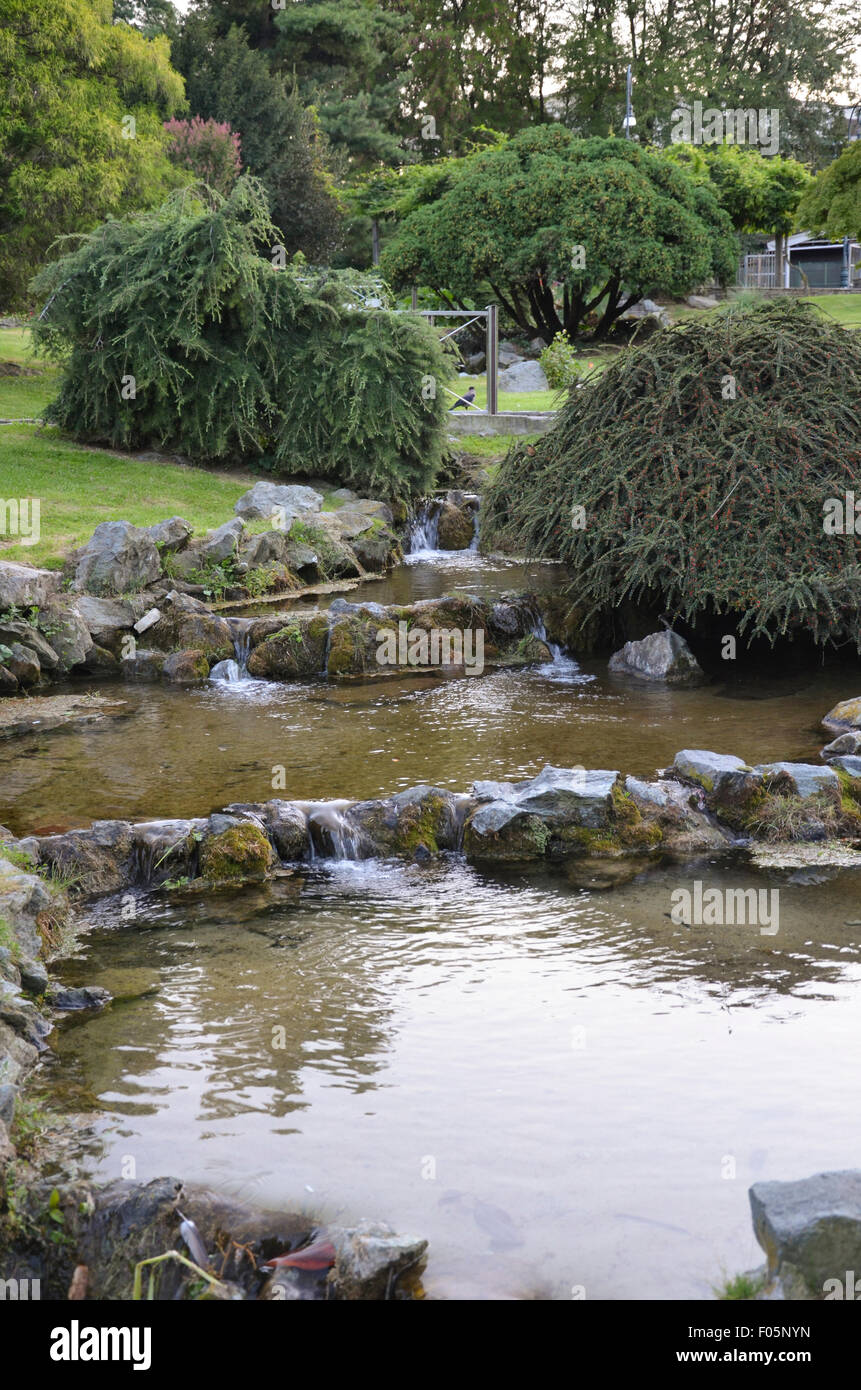 Small rocky stream hi-res stock photography and images - Alamy