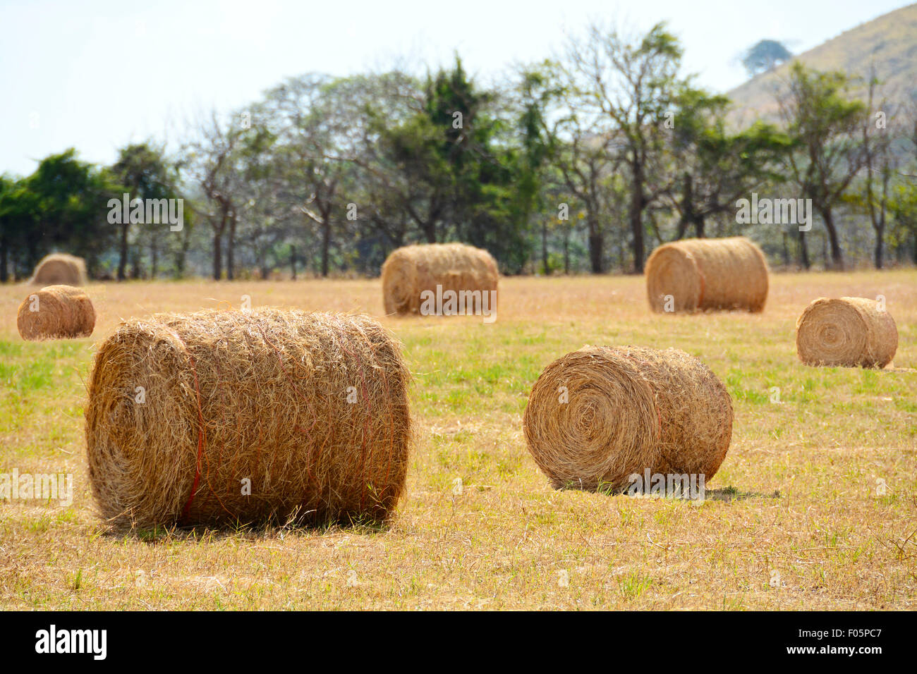 Several bales hi-res stock photography and images - Alamy