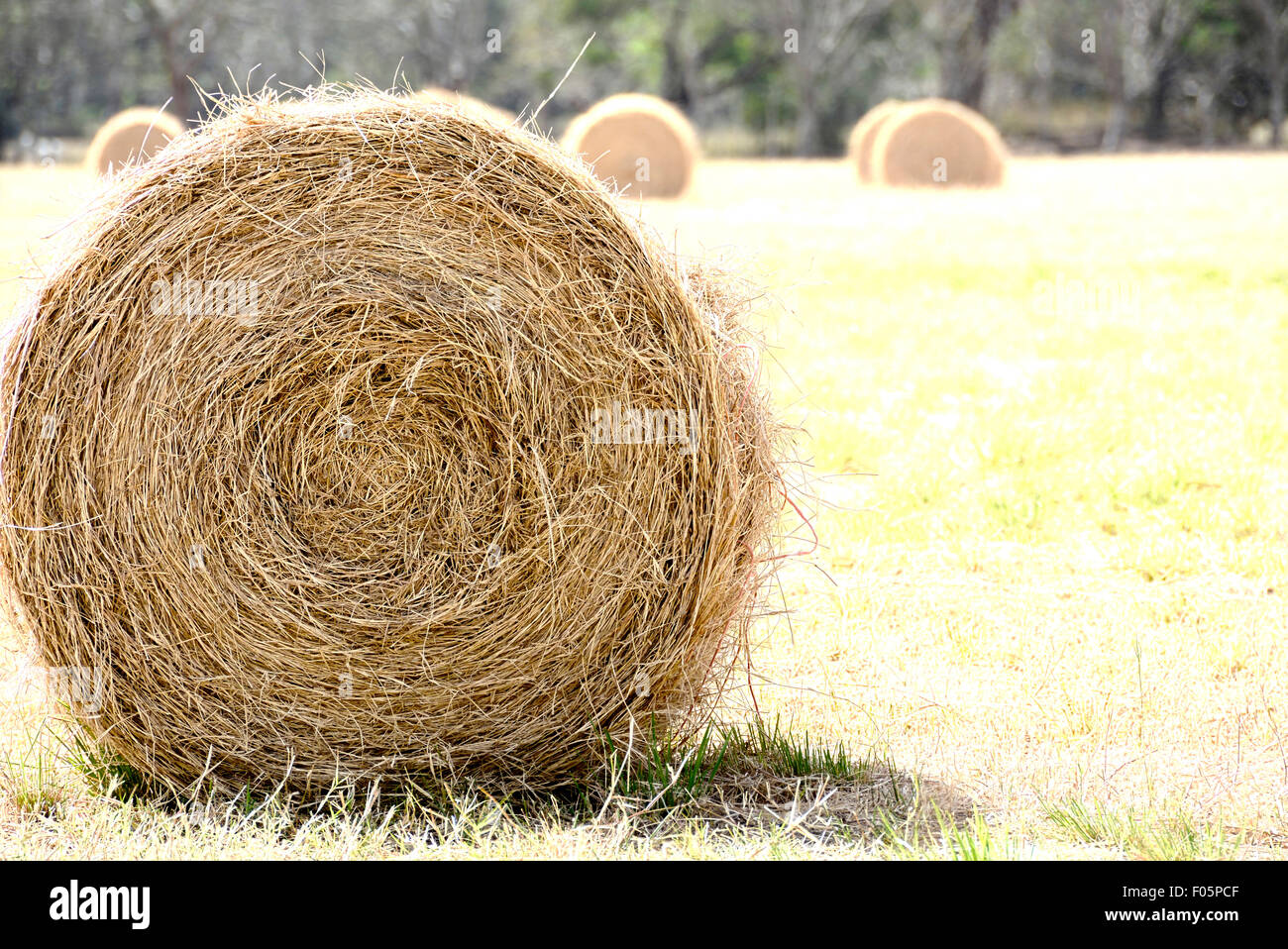 Hay bales close up hi-res stock photography and images - Alamy