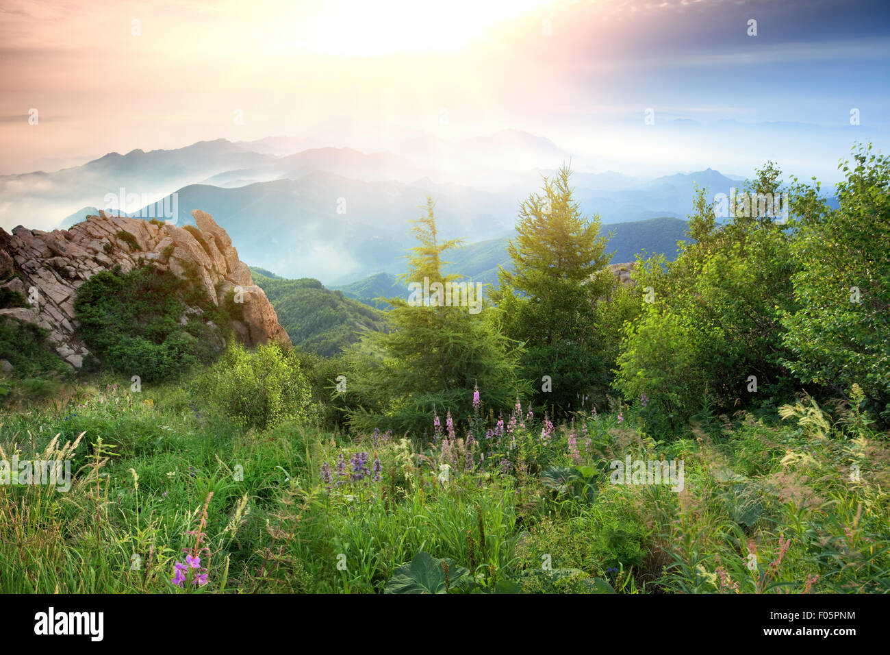 Summer landscape in mountains Stock Photo - Alamy