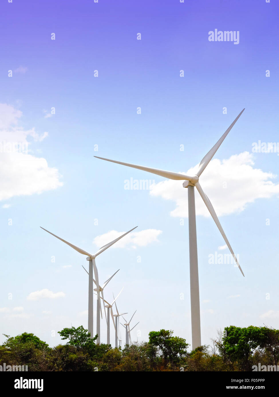 Wind turbine park showing several towers under a blue sky Stock Photo ...