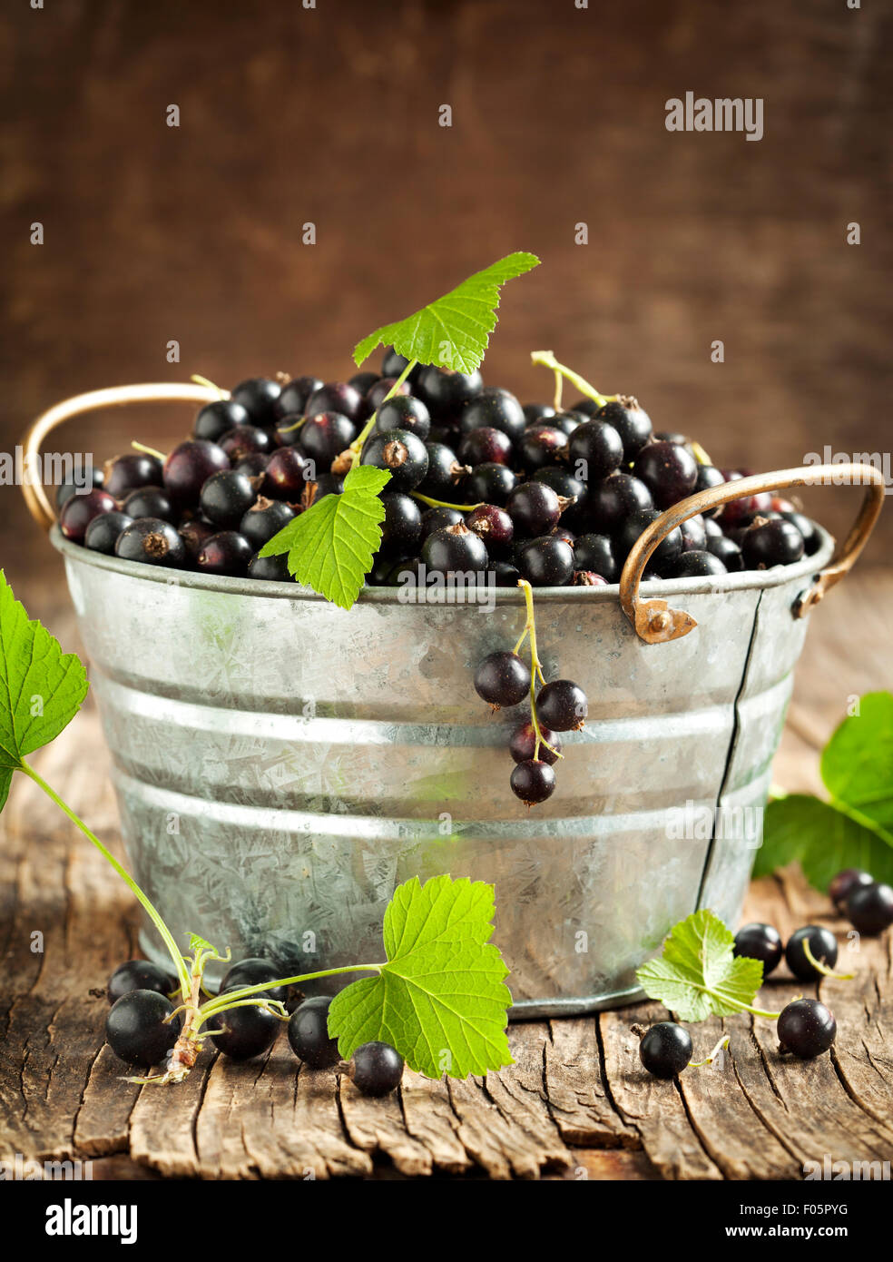 Blackcurrant leaves hi-res stock photography and images - Alamy