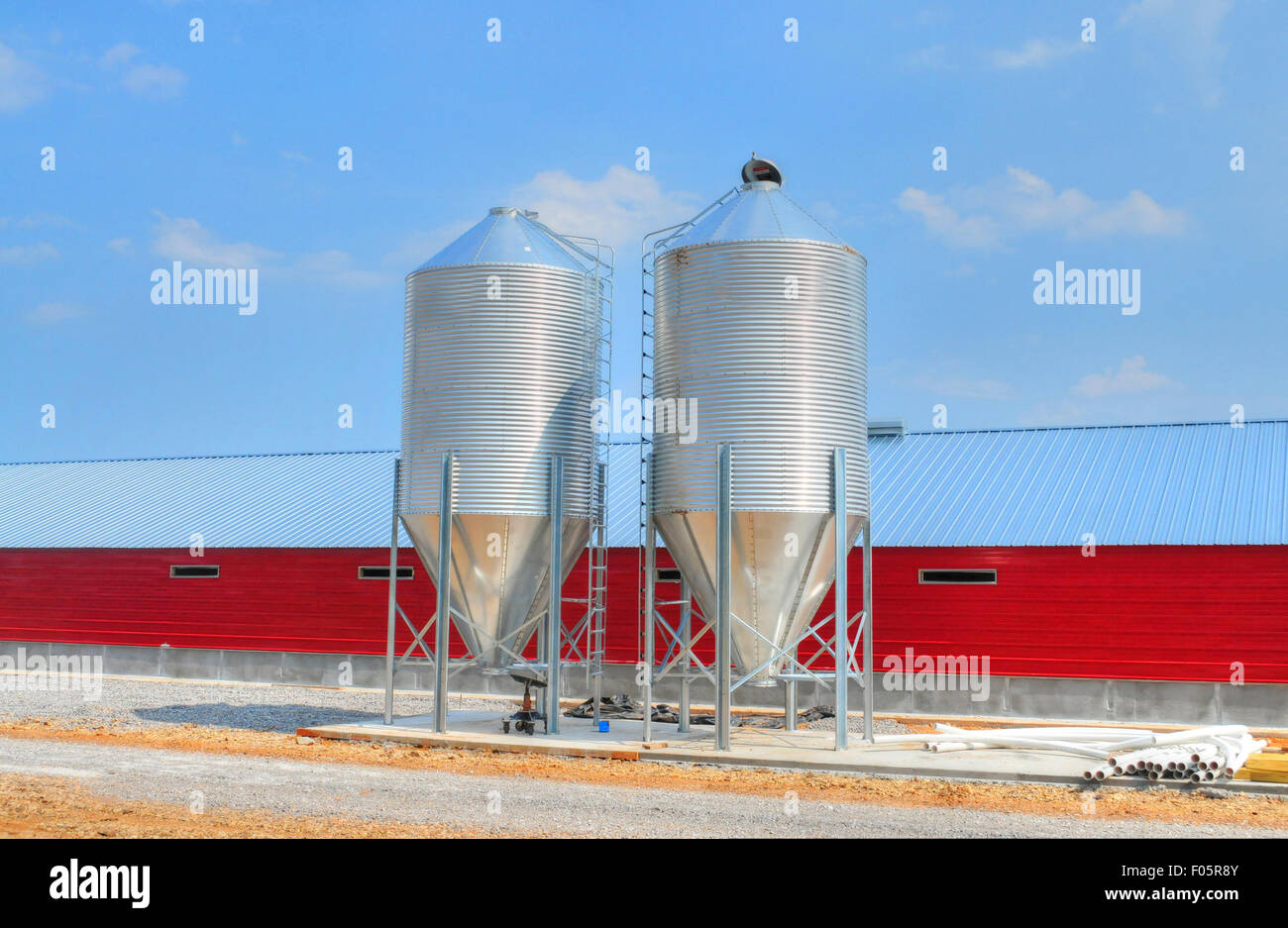 Modern poultry house with feed bins and a blue sky Stock Photo - Alamy