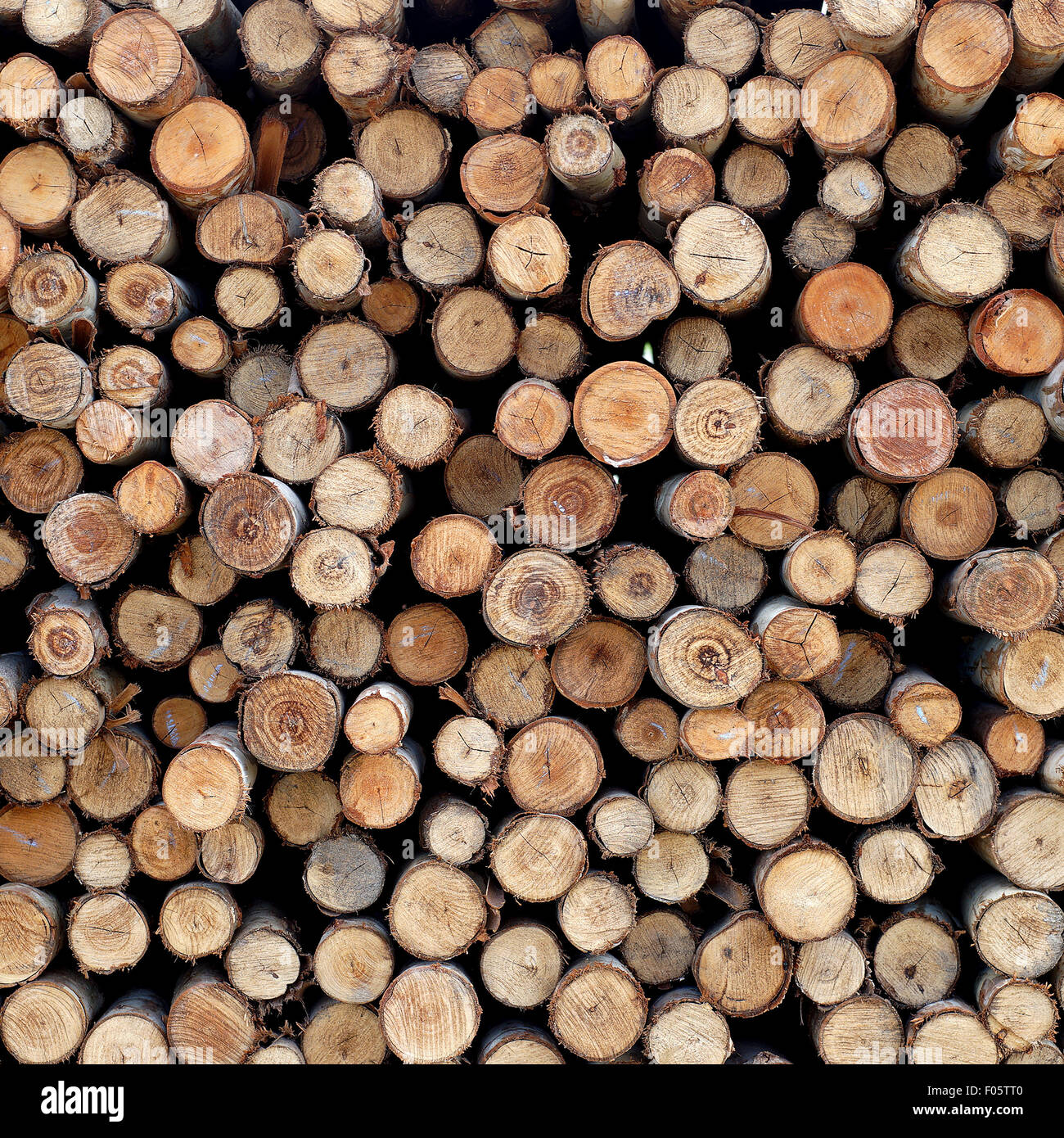 stump stack as background or texture Stock Photo - Alamy