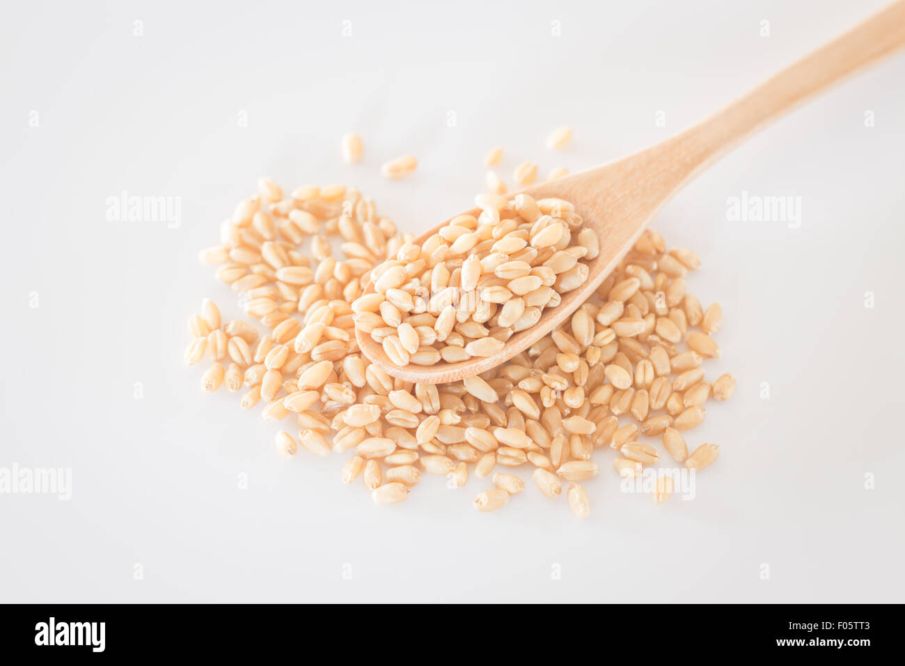 Organic pet wheat grass seeds hi-res stock photography and images - Alamy
