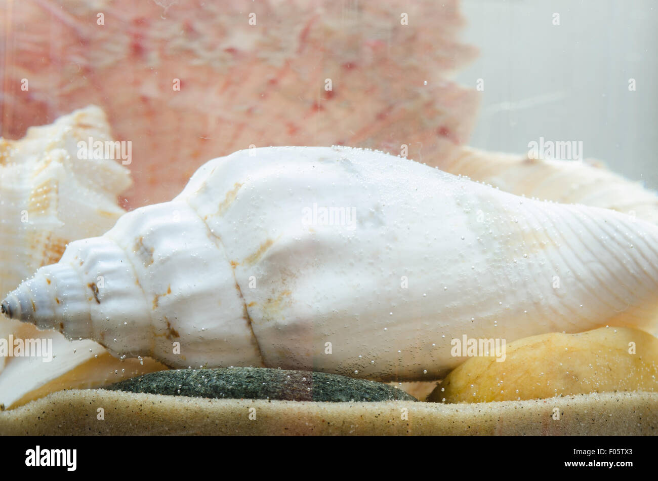 Water composition hi-res stock photography and images - Alamy