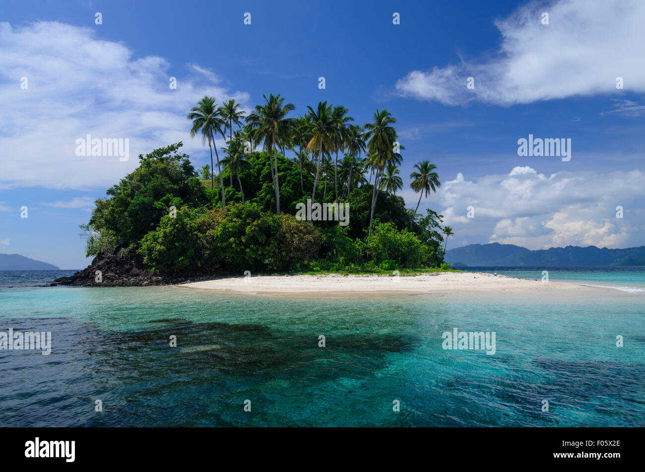A small tropical island with a white sandy beach and ringed by corals ...