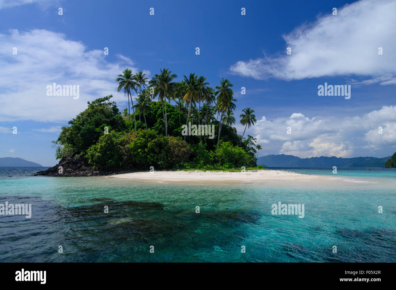 A small tropical island with a white sandy beach and ringed by corals ...