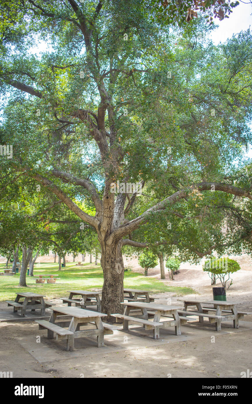 Sit under the shade tree hi-res stock photography and images - Alamy