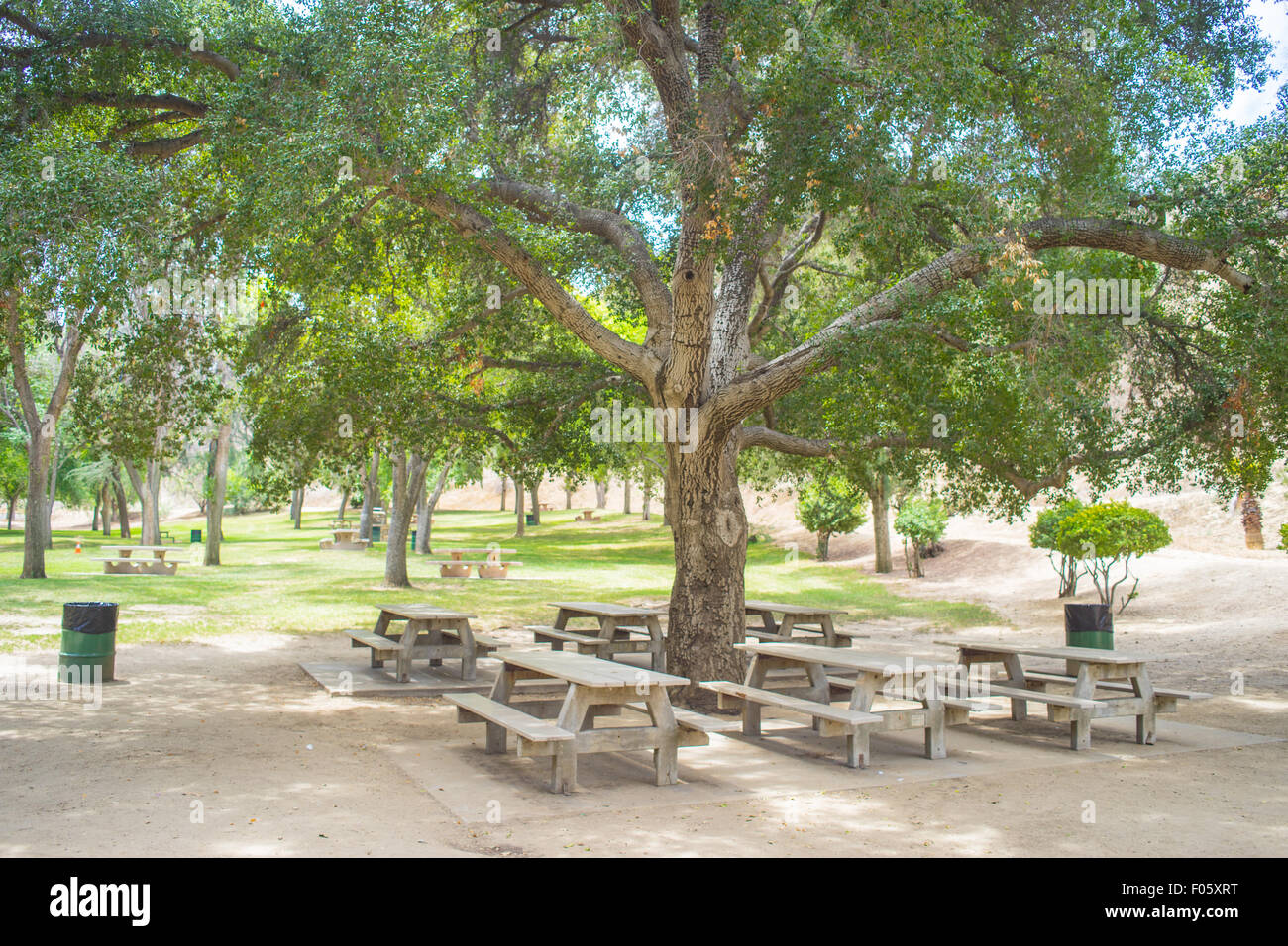 Section of picnic tables at a green tree park in Val Verde, southern ...