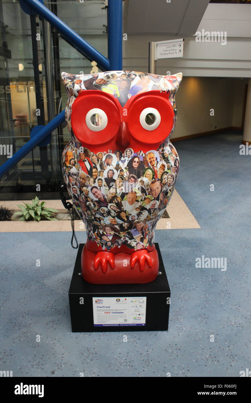 The Big Hoot Birmingham 2015 Stock Photo - Alamy