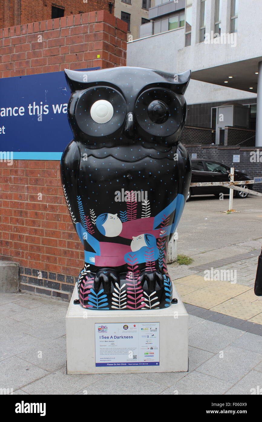 The Big Hoot Birmingham 2015 Stock Photo - Alamy