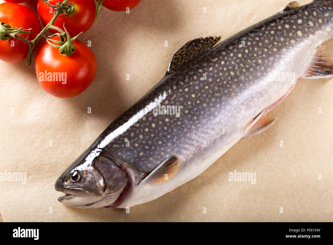 Delicious fresh raw trout fish with tomatoes Stock Photo - Alamy