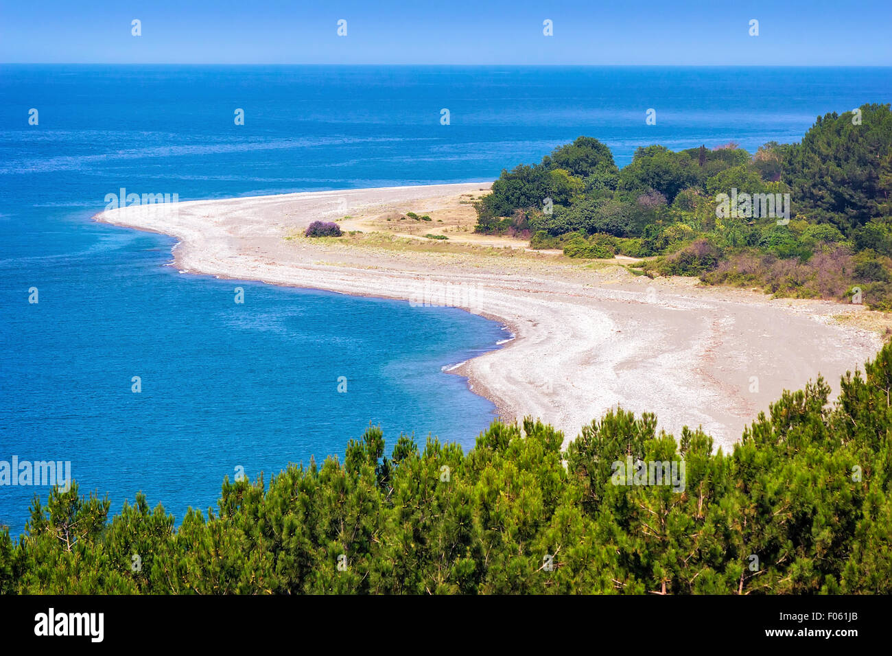 Beautiful landscape: blue sea, beach, shore with growing pine trees ...