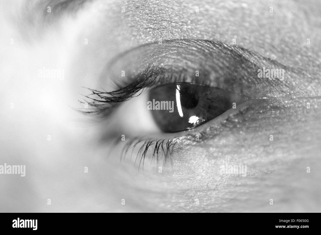 Extreme close up human eye hi-res stock photography and images - Alamy