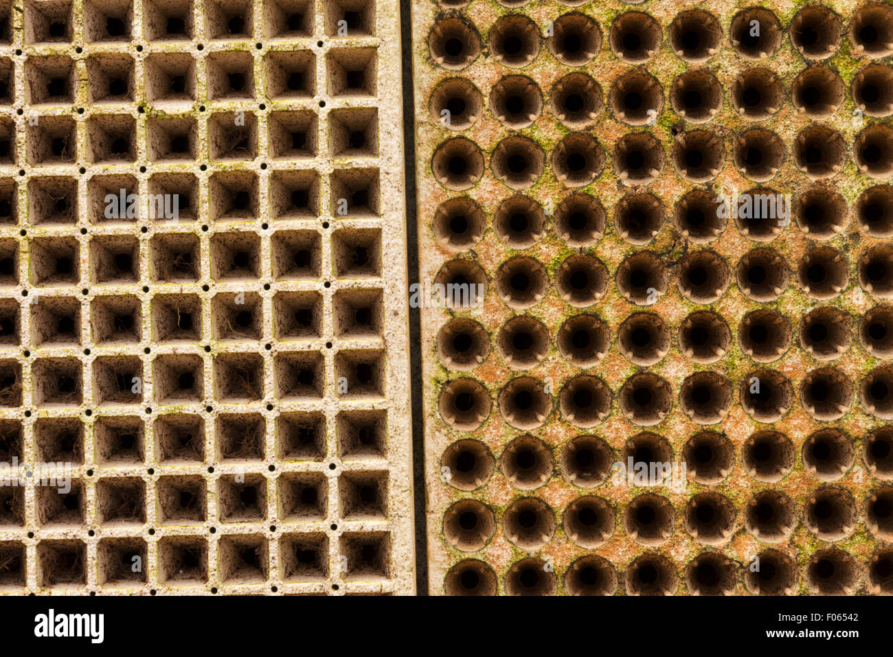 Tree planting large scale hi-res stock photography and images - Alamy