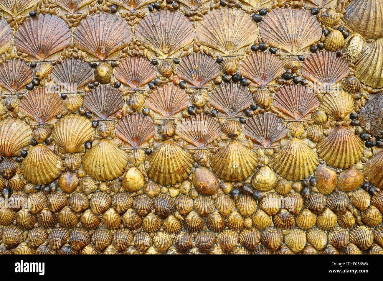 Covering of shells hi-res stock photography and images - Alamy