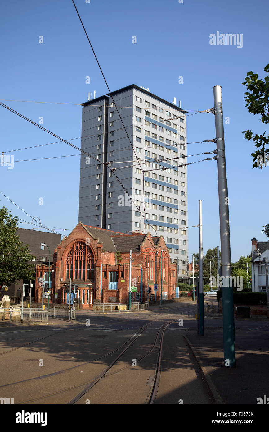 Hyson green hi-res stock photography and images - Alamy