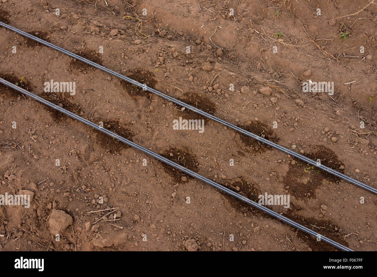 Drip irrigation africa hi-res stock photography and images - Alamy