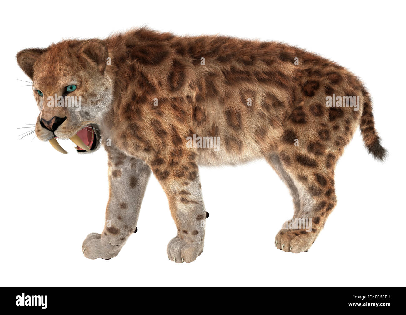 Smilodon hi-res stock photography and images - Alamy