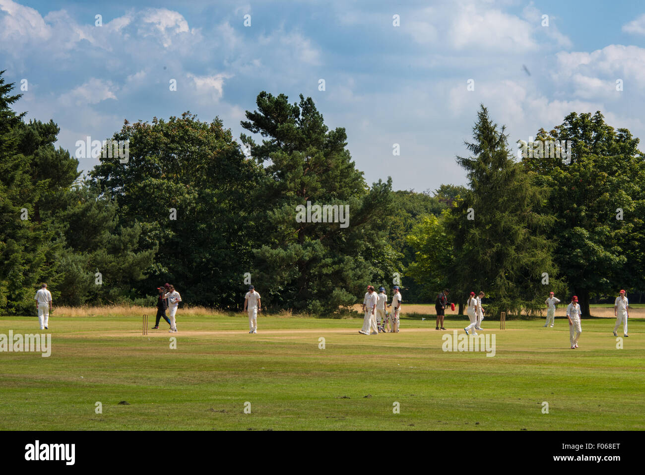 Old Wolves v Rugely Cricket teams playing a match at Wolverhampton ...