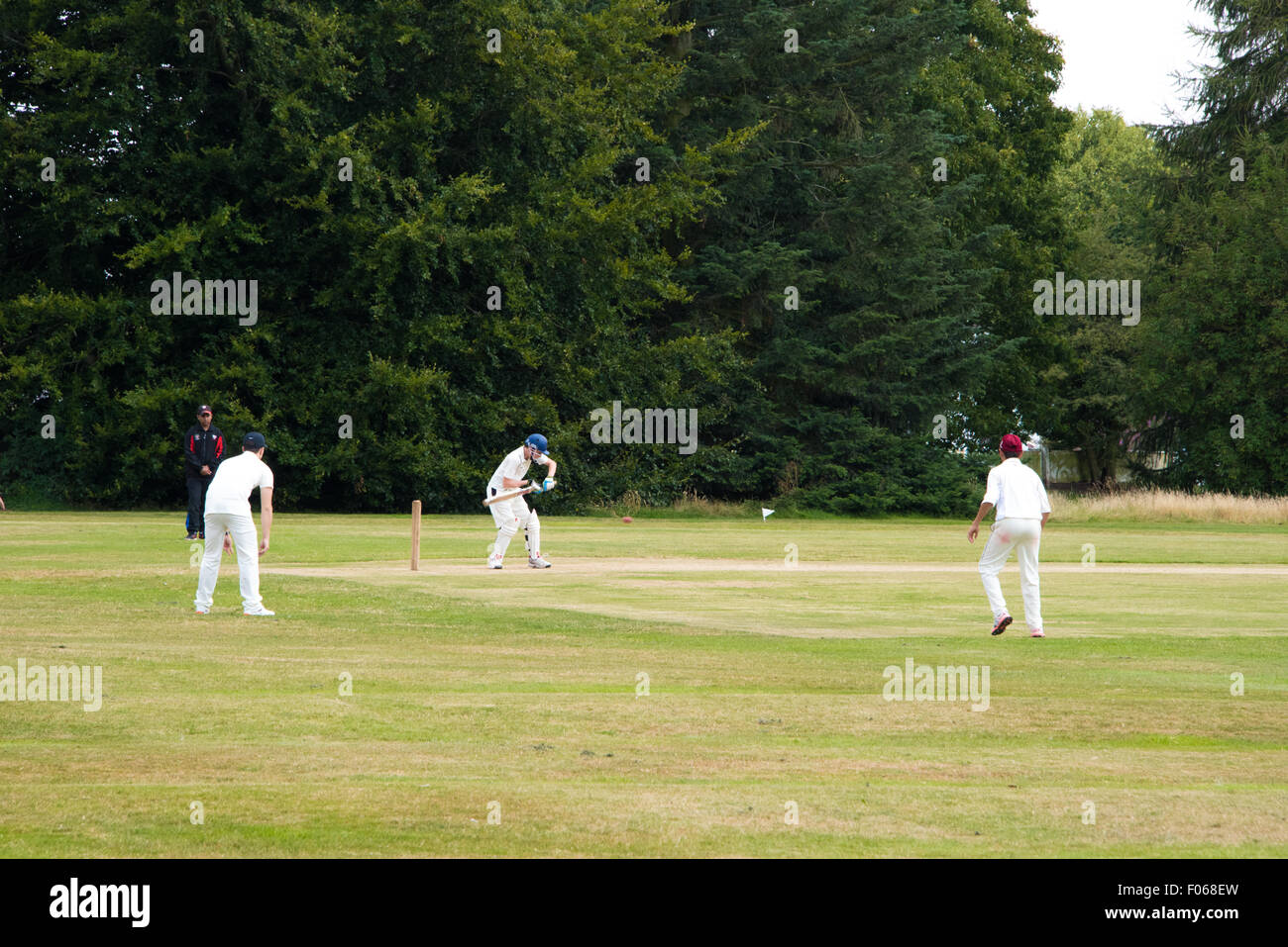 Old Wolves v Rugely Cricket teams playing a match at Wolverhampton ...