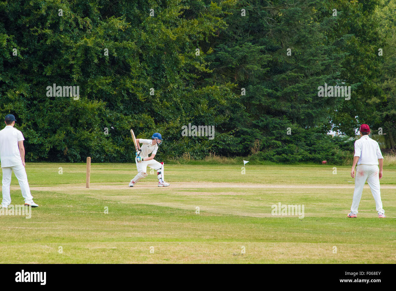 Old Wolves v Rugely Cricket teams playing a match at Wolverhampton ...
