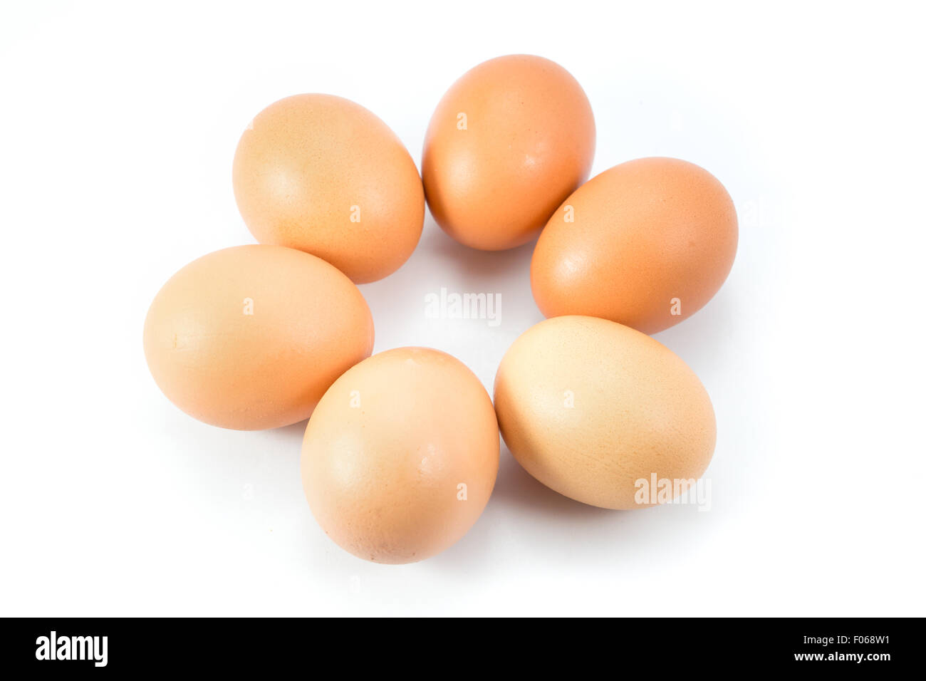Circle of eggs hi-res stock photography and images - Alamy