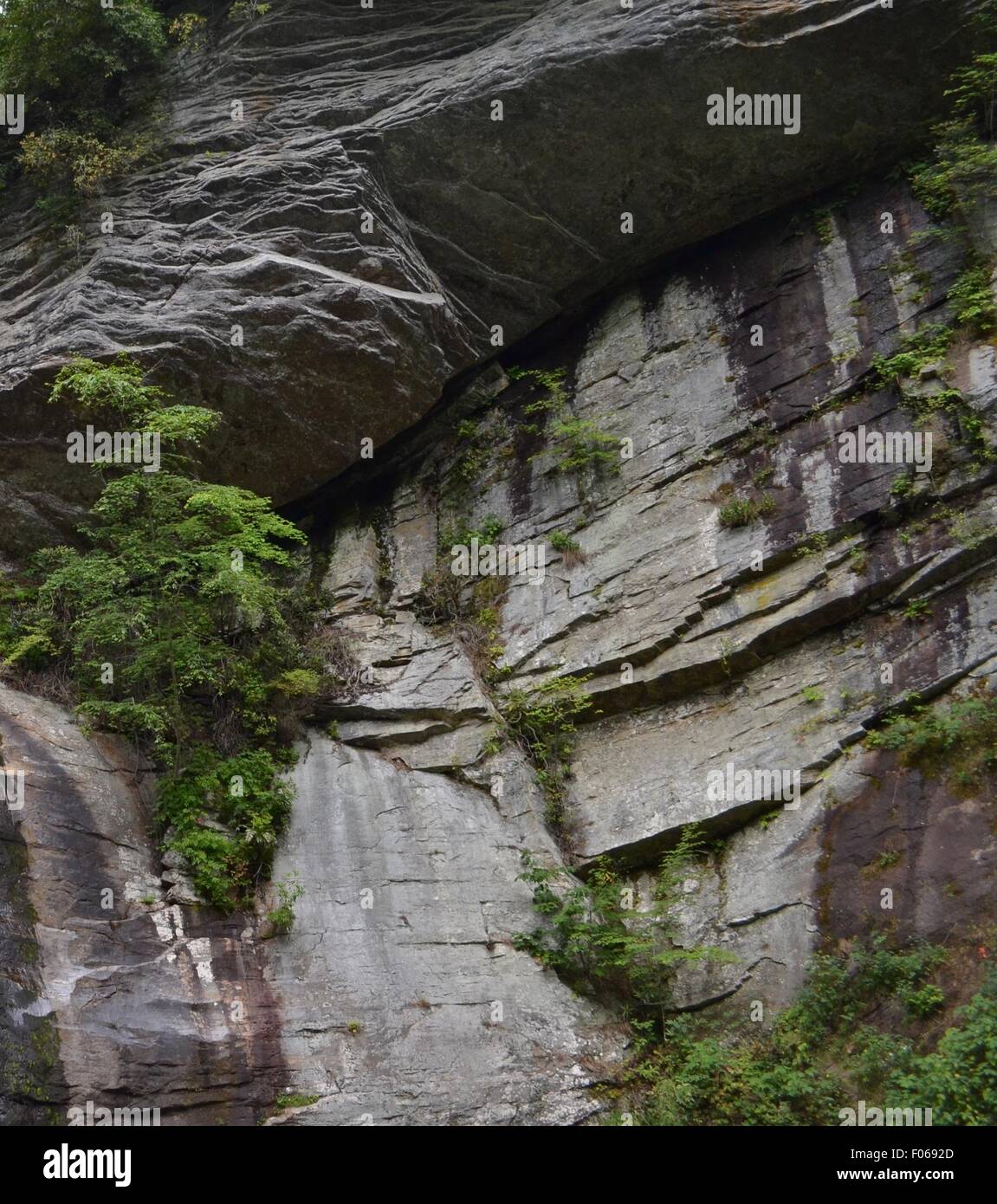 Rock face with vegetation Stock Photo - Alamy