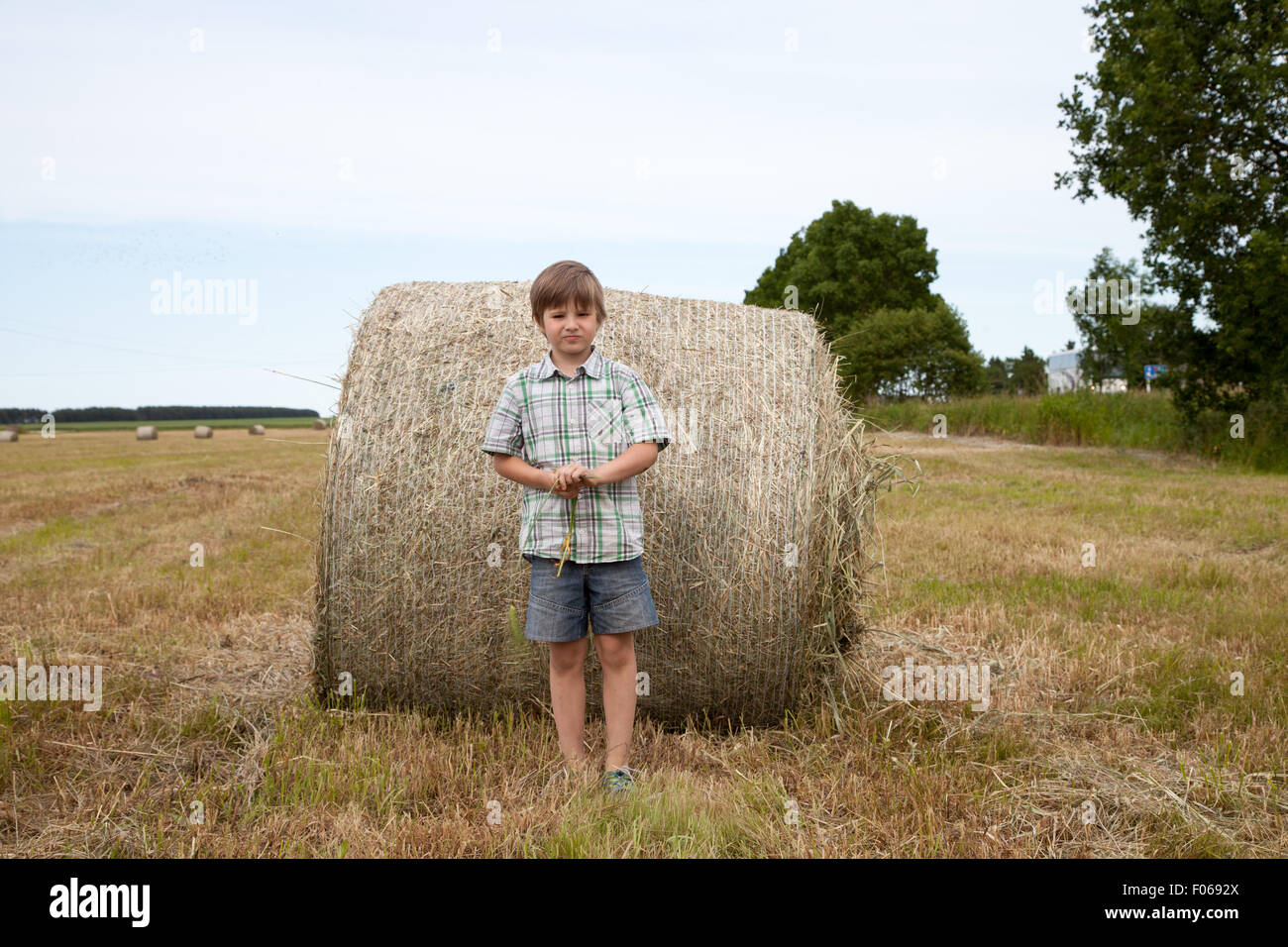 Haystack roll hi-res stock photography and images - Alamy