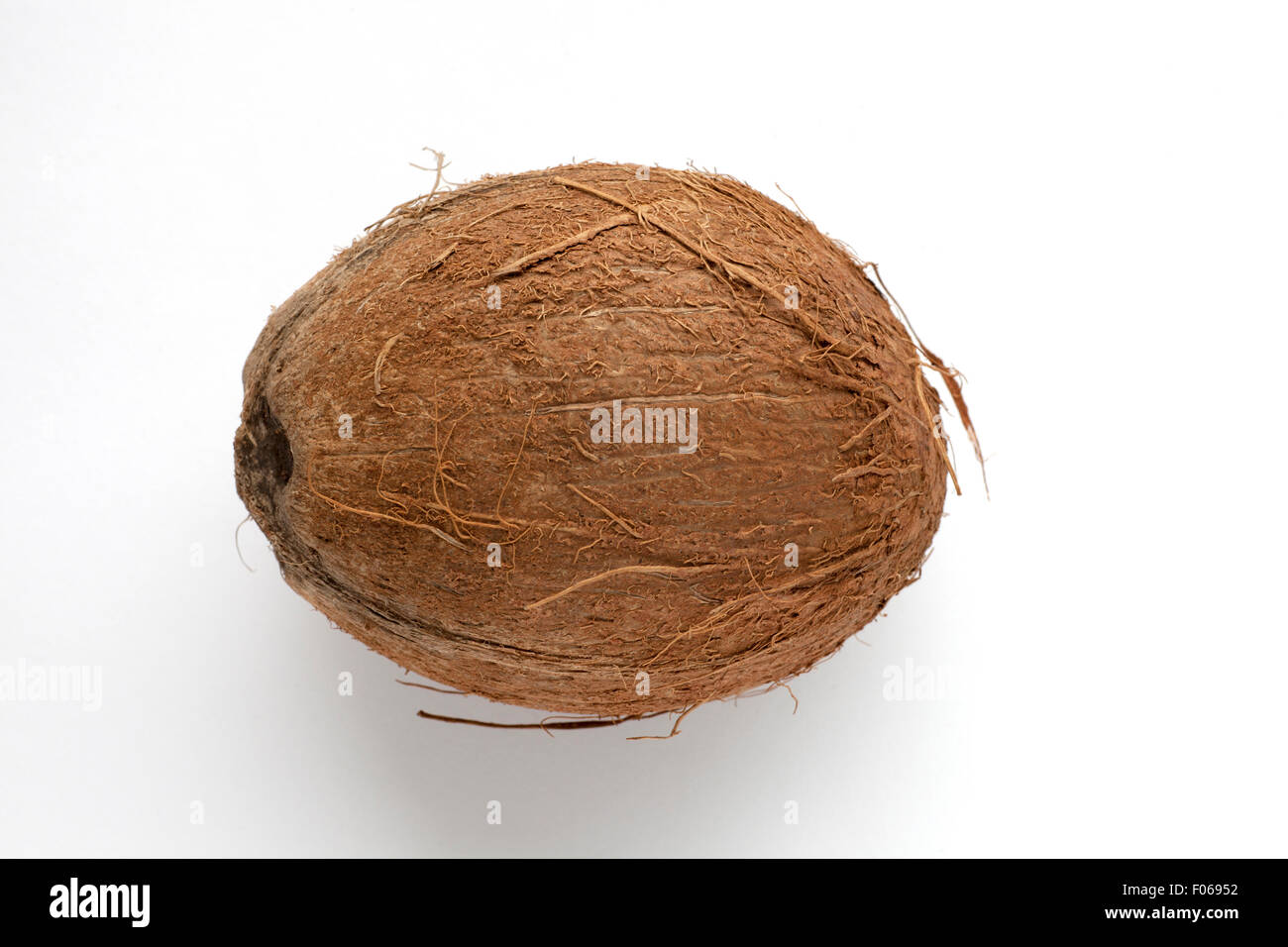 Ripe big coconut on white background Stock Photo - Alamy